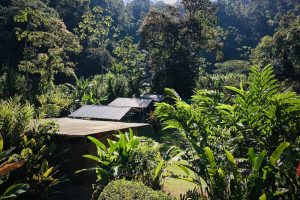 What Does Eco / Ethical Tourism Even Mean?! | Global Shenanigans