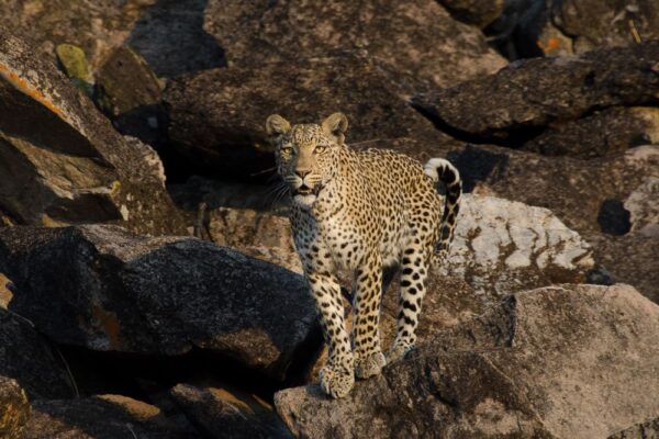 What Does Eco / Ethical Tourism Even Mean?! | Global Shenanigans